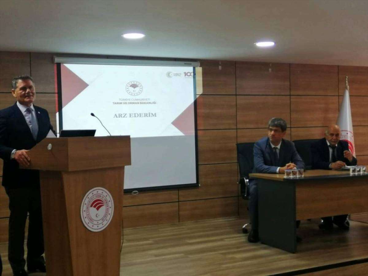 Kahverengi kokarca böceği zararlısı ile ilgili bilgilendirme